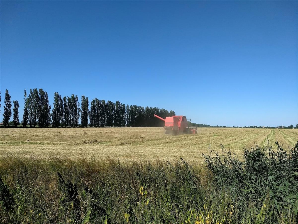 Home - Midden-Delfland Vereniging